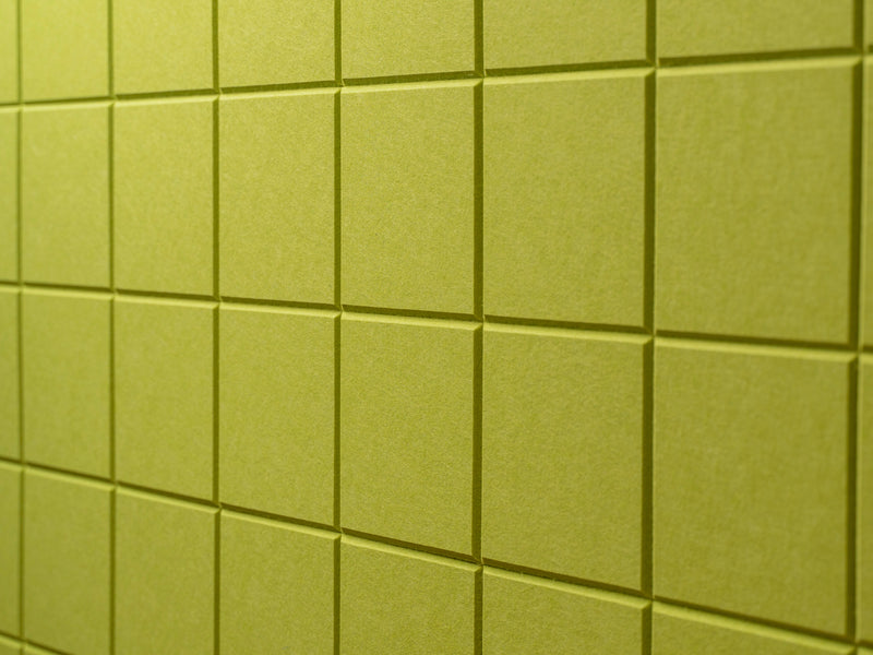 Kiwi Quarter Board | felt right